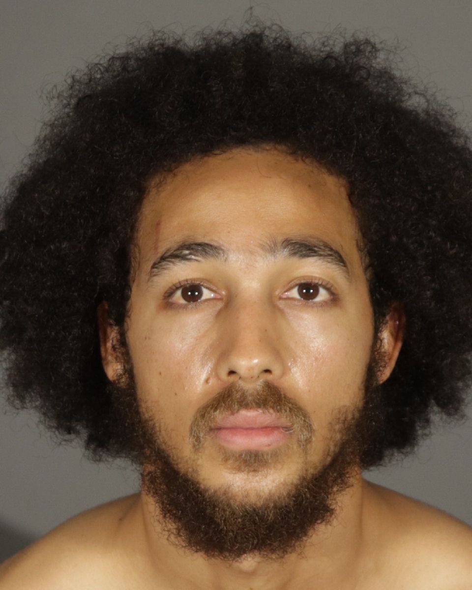 Attempted Homicide Suspect Christopher Williams Arrested - Canyon News