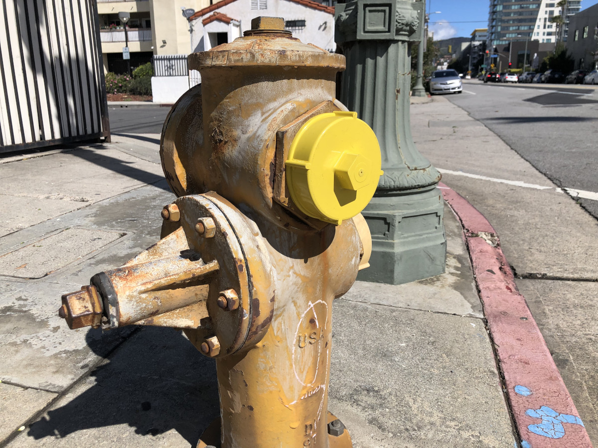 Banana Yellow (108) - Canyon News