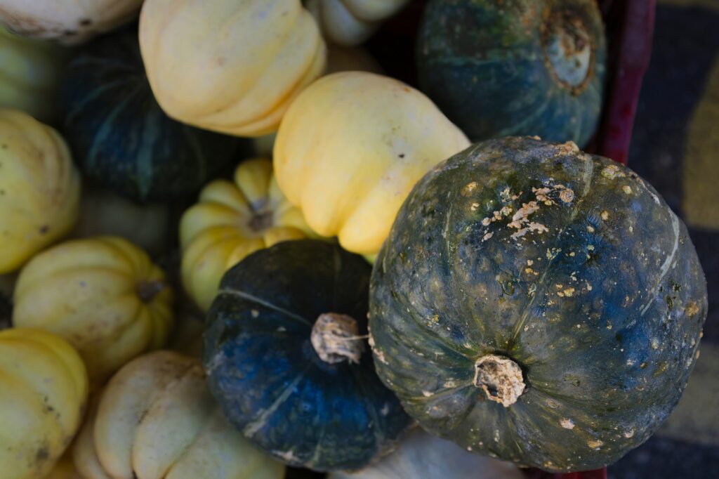 A Squash Transformation - Canyon News
