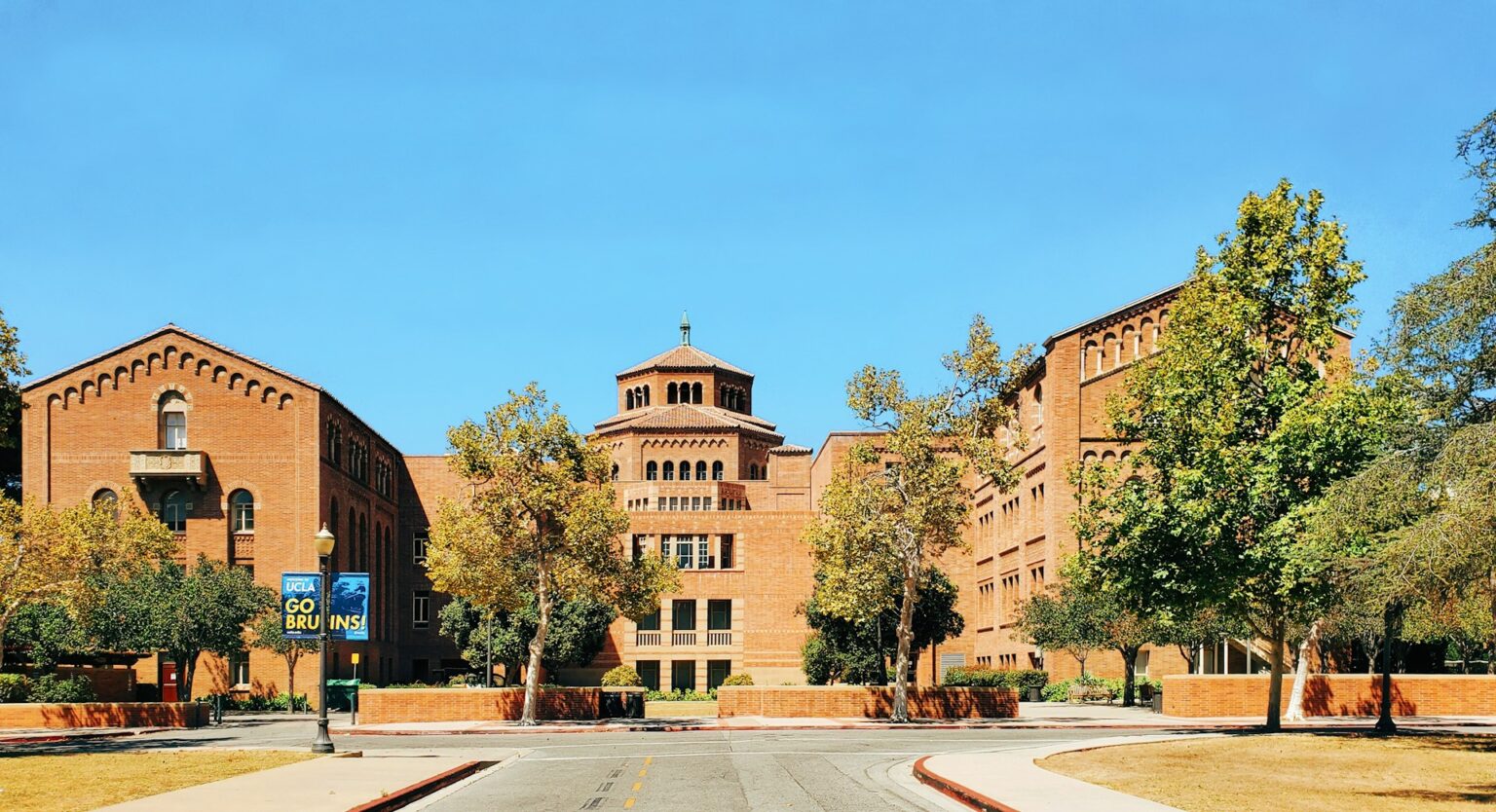 Suspect Arrested By UCLA PD For Assaulting Students - Canyon News